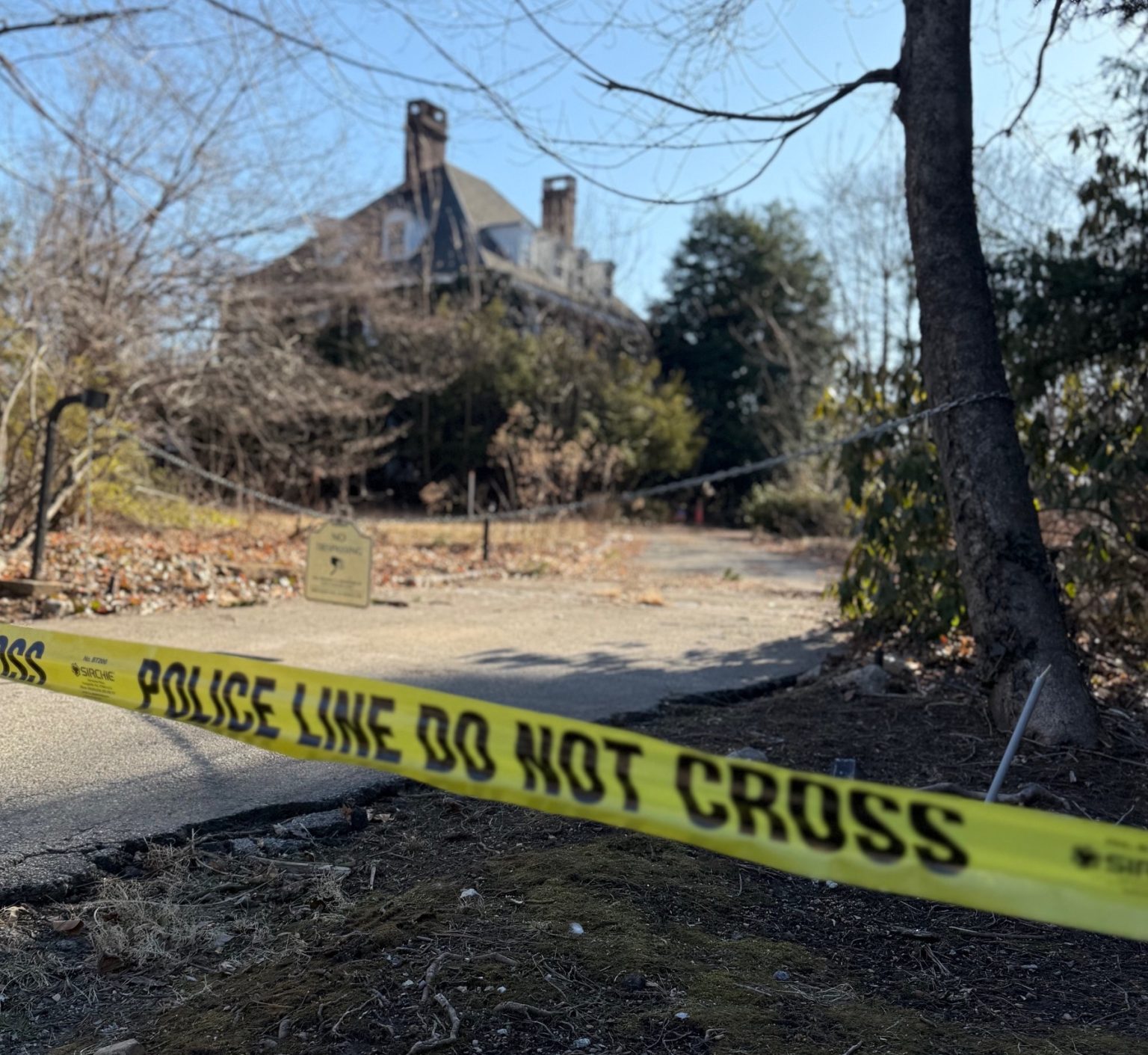 SAVVY MAINLINE - it's what you want to know