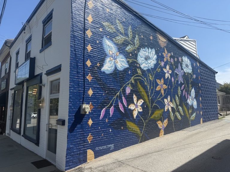 New ventures & cool events; VF Park closure update; Dissecting the ...